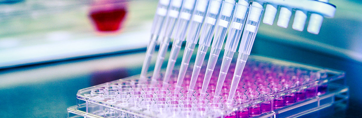 Prüflabor biologische Sicherheit - BBF Sterilisationsservice GmbH